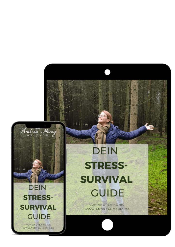 LP Stress Survival Guide – Andrea Hönig | TaraLux